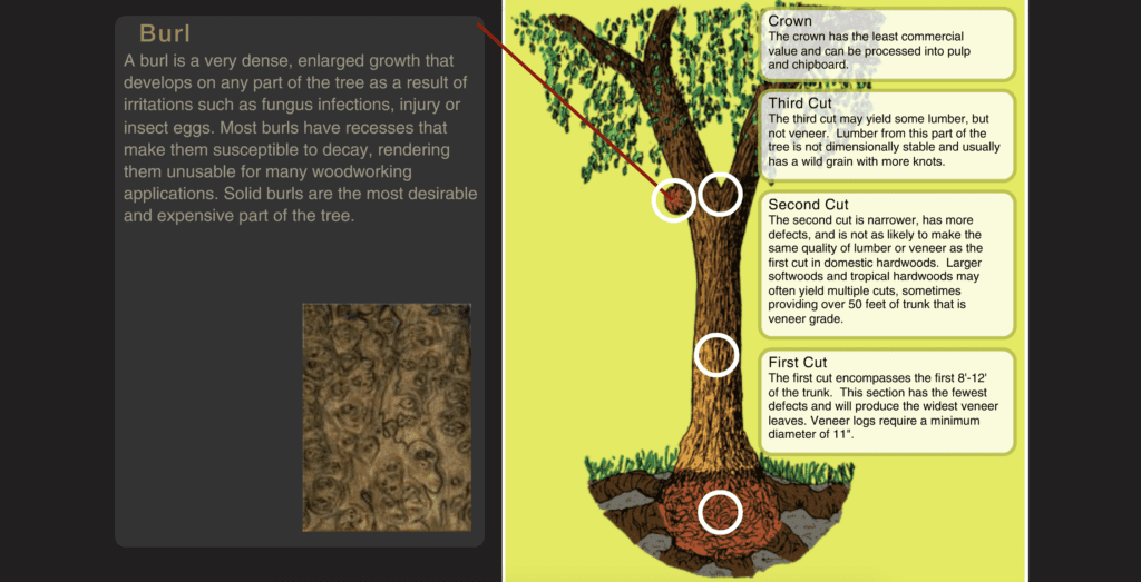 Processing A Tree | Navy Island